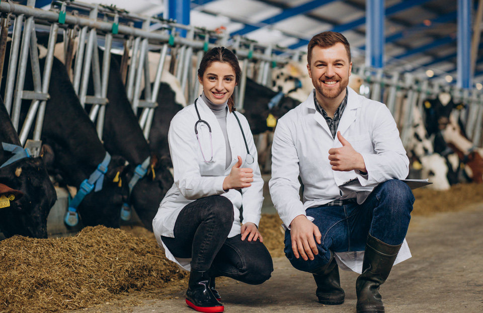 Strategic Partnership